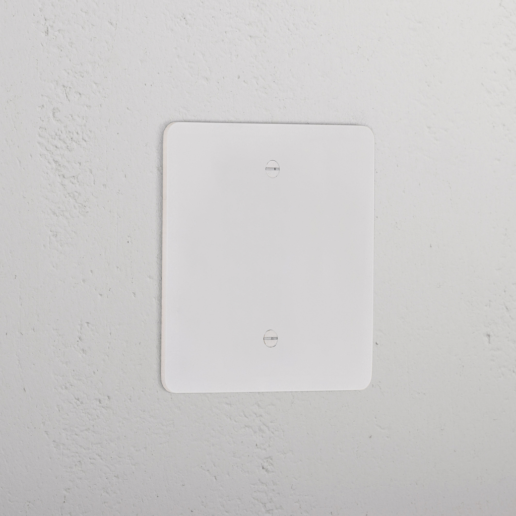 1G Blank Plate | Paintable – Corston