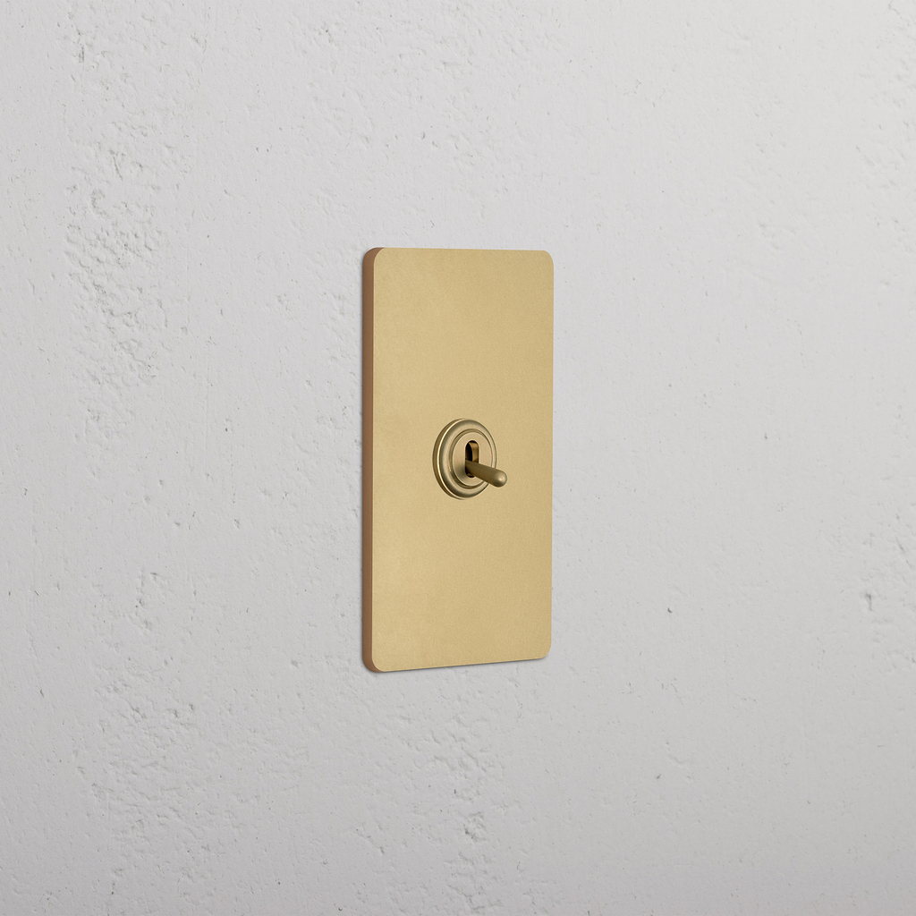 Grove 1G Toggle Switch Antique Brass | Switches & Dimmers