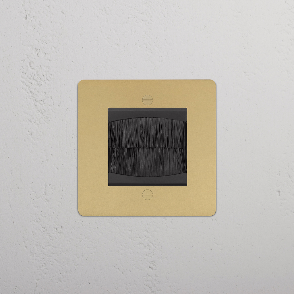 Single Brush Plate Antique Brass Black | Sockets & Modules