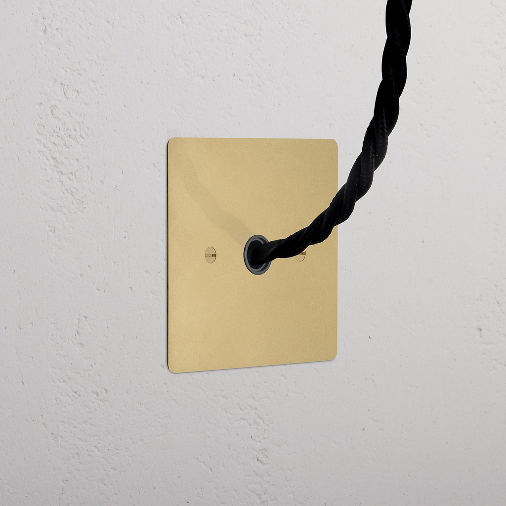 Single Flex Outlet Antique Brass Black | Sockets & Modules