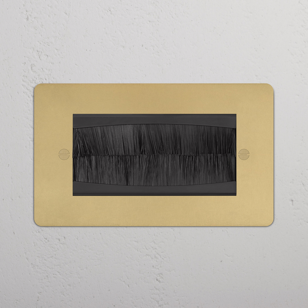 Double Brush Plate Antique Brass Black | Sockets & Modules