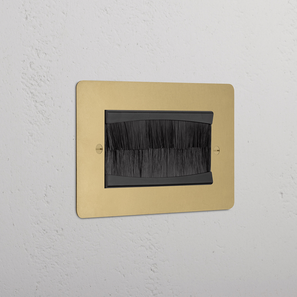 Double Brush Plate Antique Brass Black | Sockets & Modules