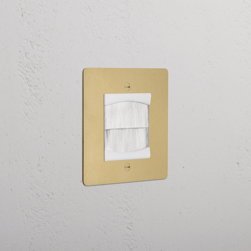 Single Brush Plate Antique Brass White | Sockets & Modules