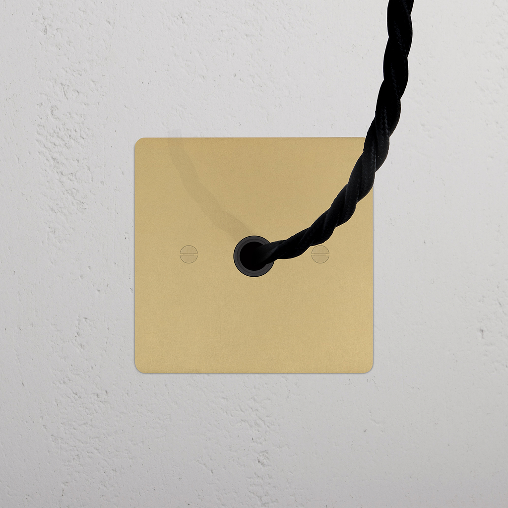 Single Flex Outlet Antique Brass Black | Sockets & Modules