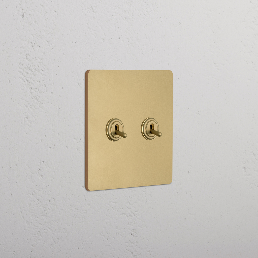 Grove 2G Toggle Switch Antique Brass | Switches & Dimmers