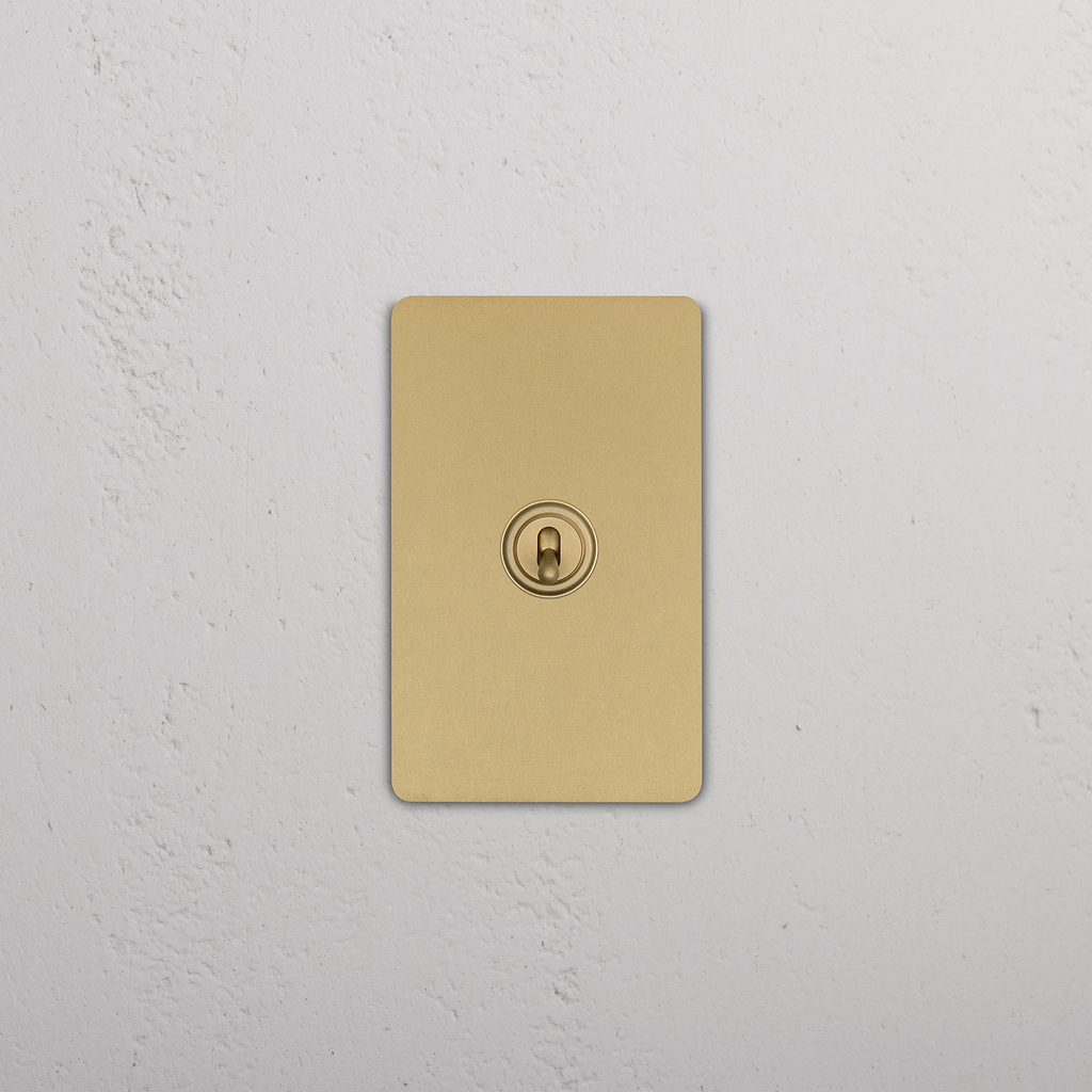 Grove 1G Toggle Switch Antique Brass | Switches & Dimmers