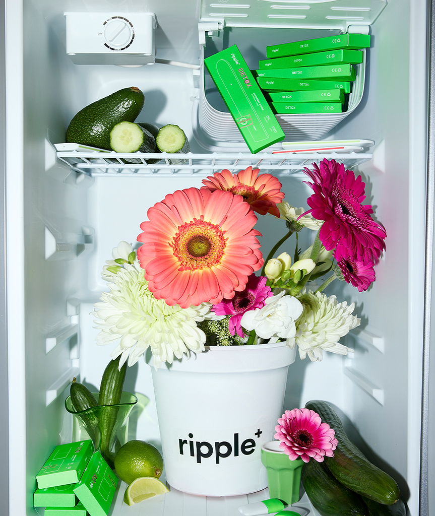 DETOX COOL BUNDLE | Cucumber Aroma Diffuser | Nicotine Free