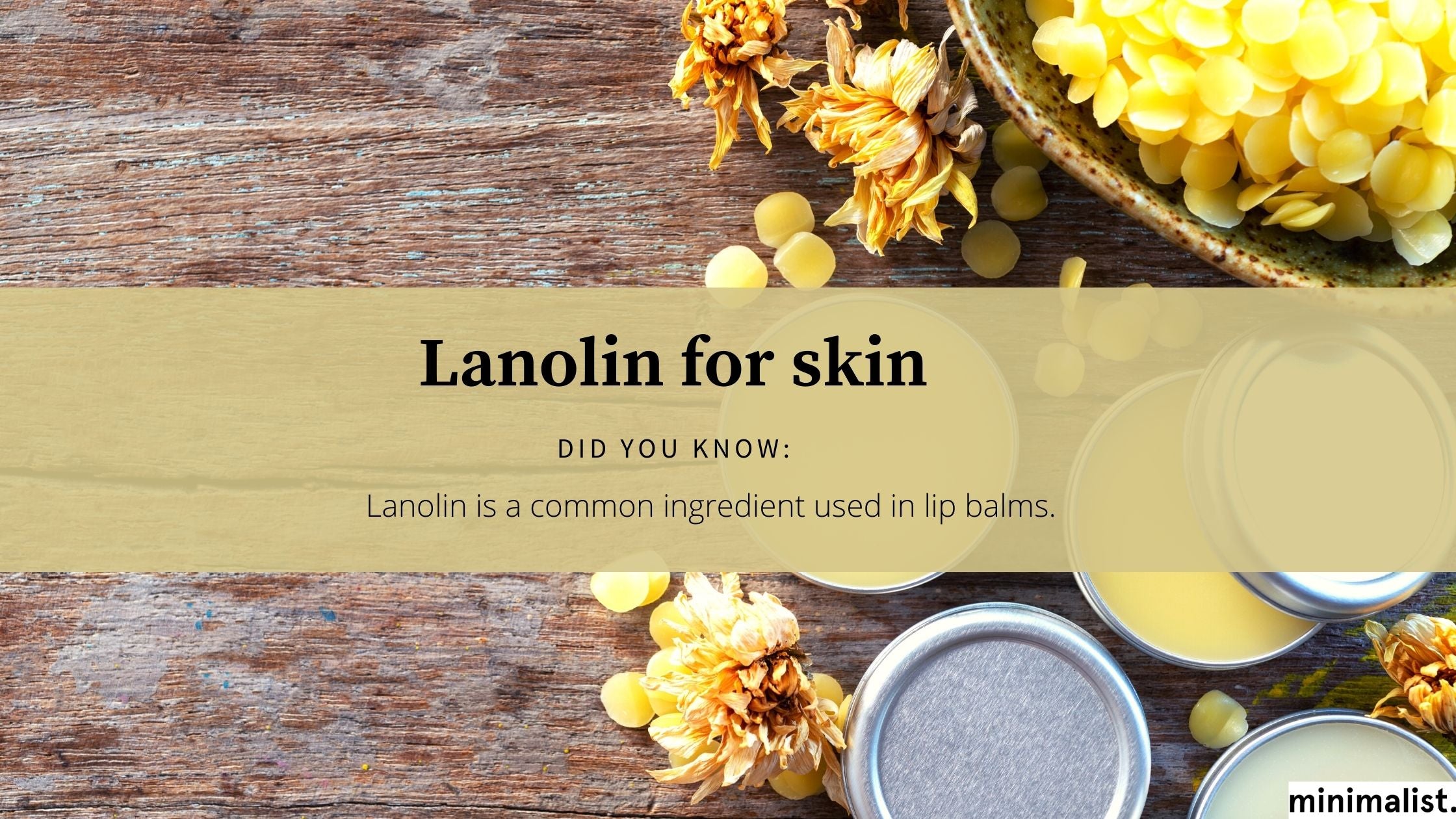 Lanolin for Skin: Uses, Benefits & Side-Effects – Minimalist