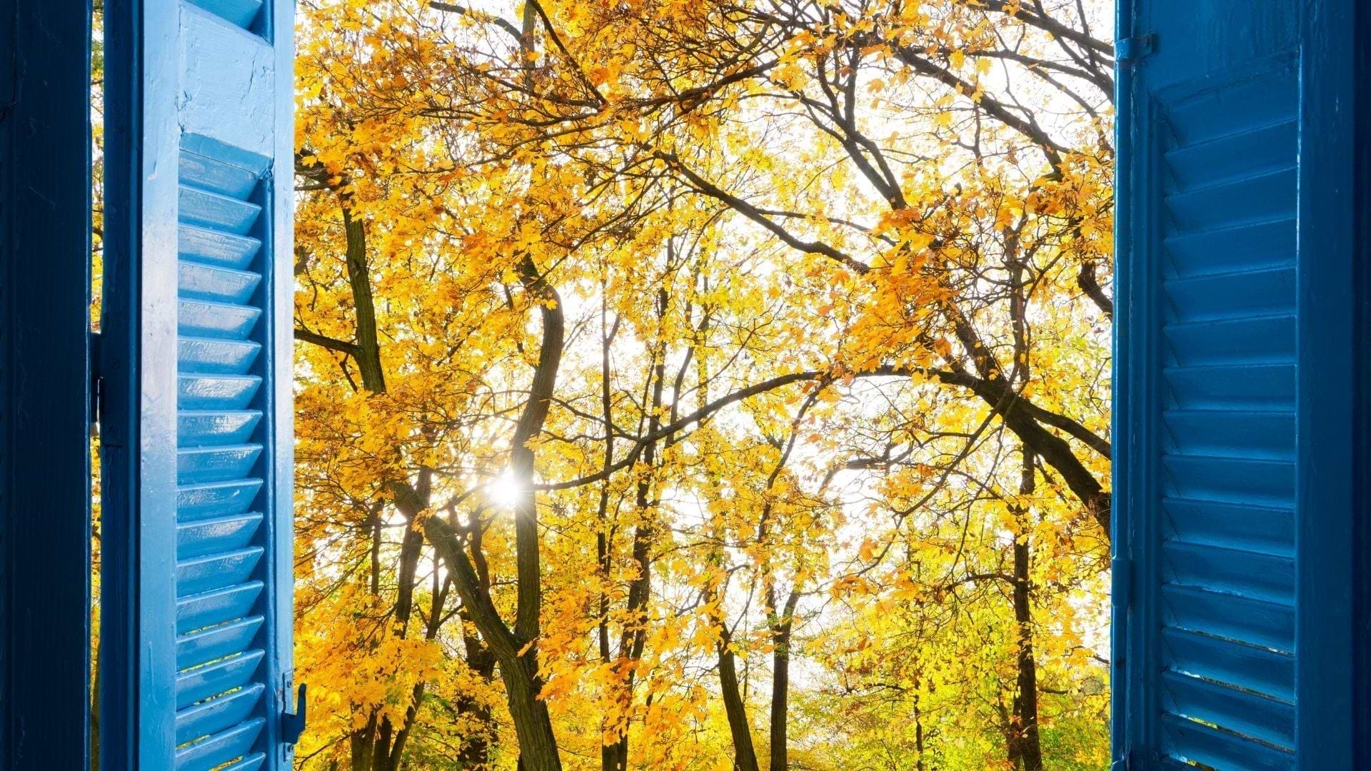 Transitioning from Summer to Fall: A Step-by-Step Guide