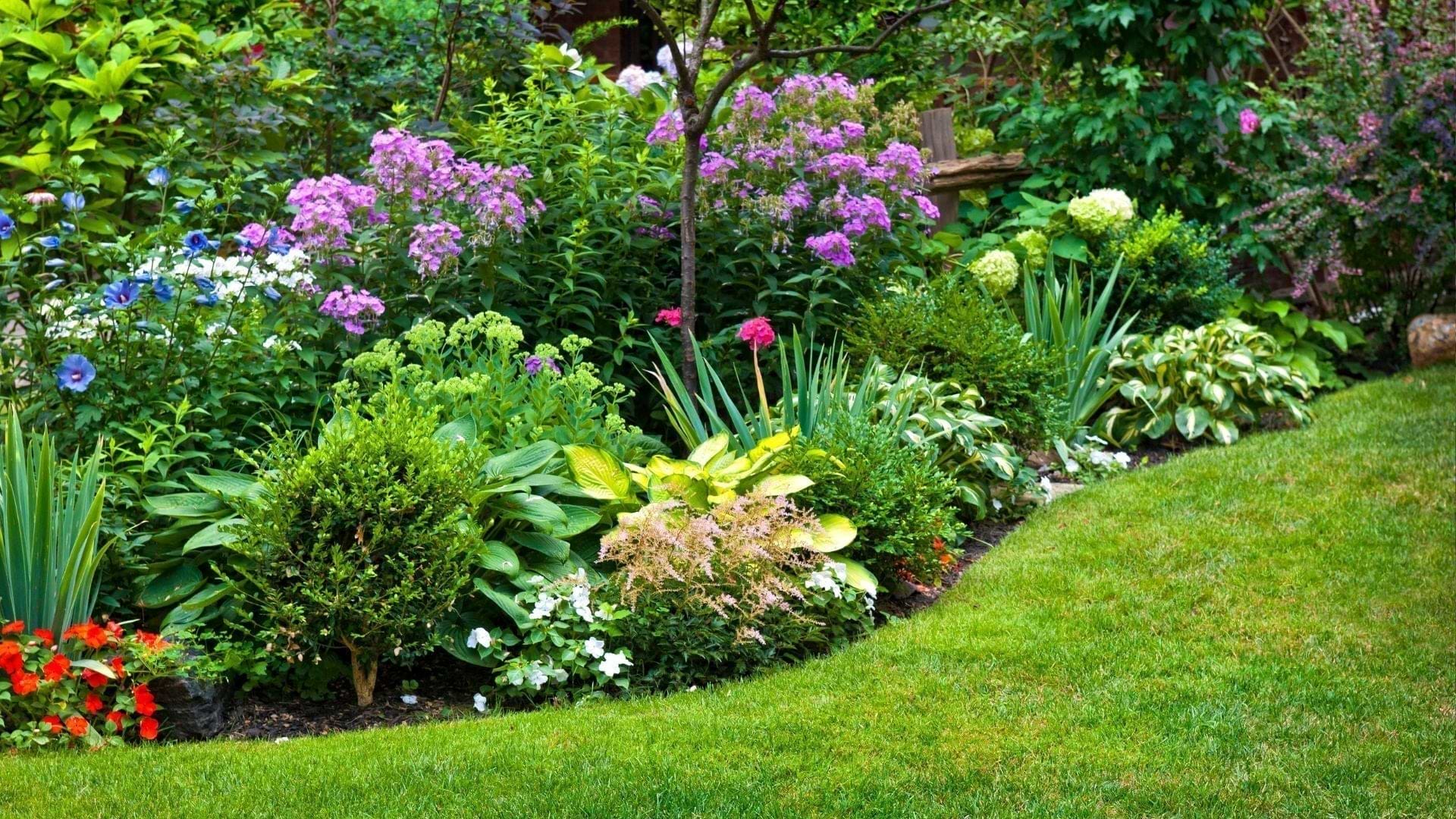 Low-Effort Lazy Gardening Tips