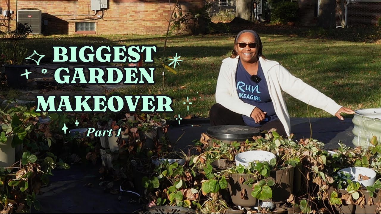 Vego Garden | Assembly Videos | Review Videos
