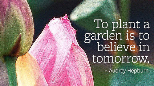 Garden Inspirational Quotes Quote By William Wordsworth "your Mind Is