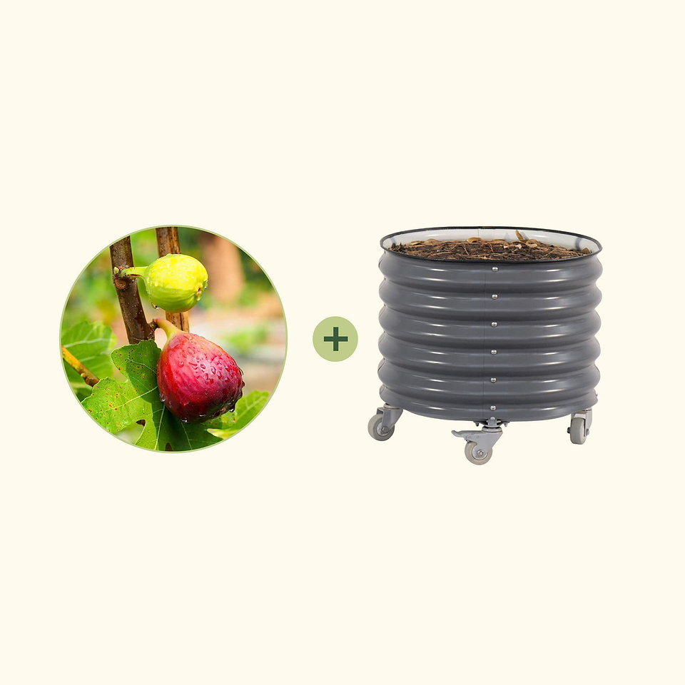 Shop High-Quality Indoor Planters & Herb Pots - Vego Garden
