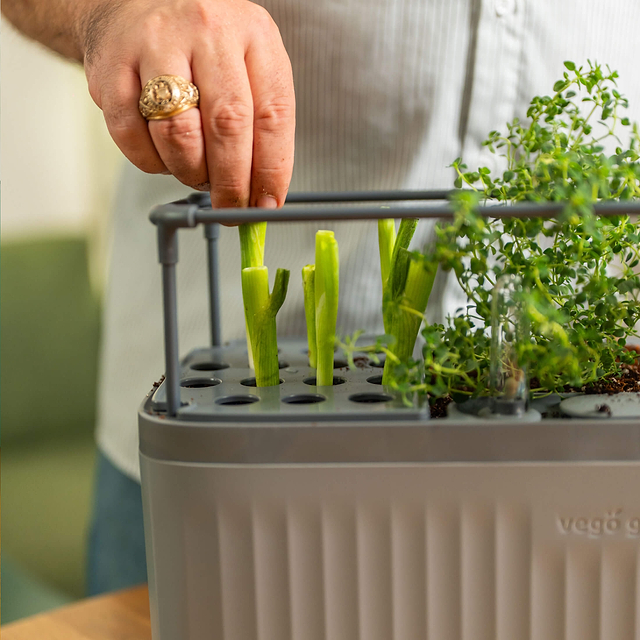 Self-Watering Herb Planters & Indoor Garden Pots | Vego Garden
