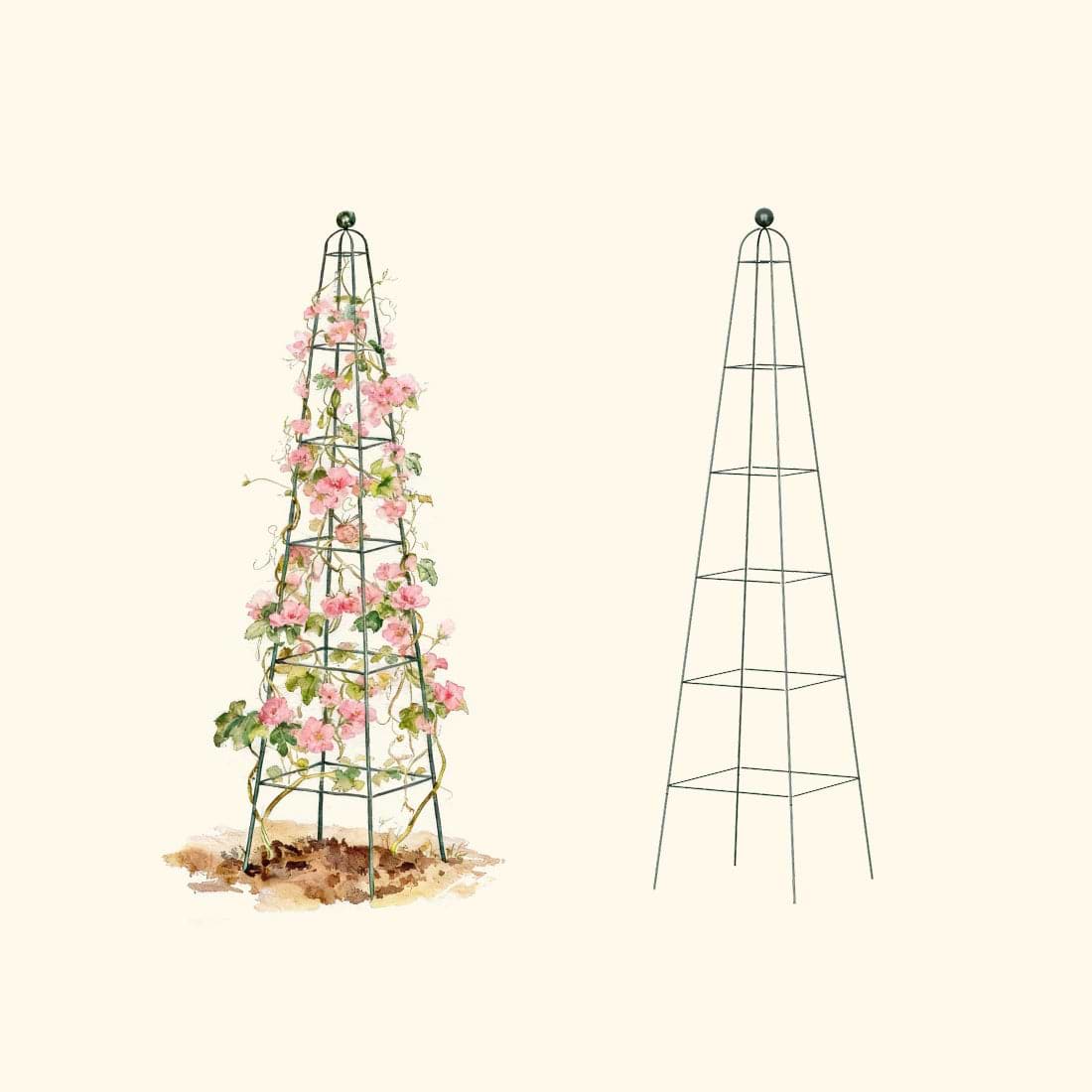 Modular Trellis Systems for Vertical Gardening | Vego Garden