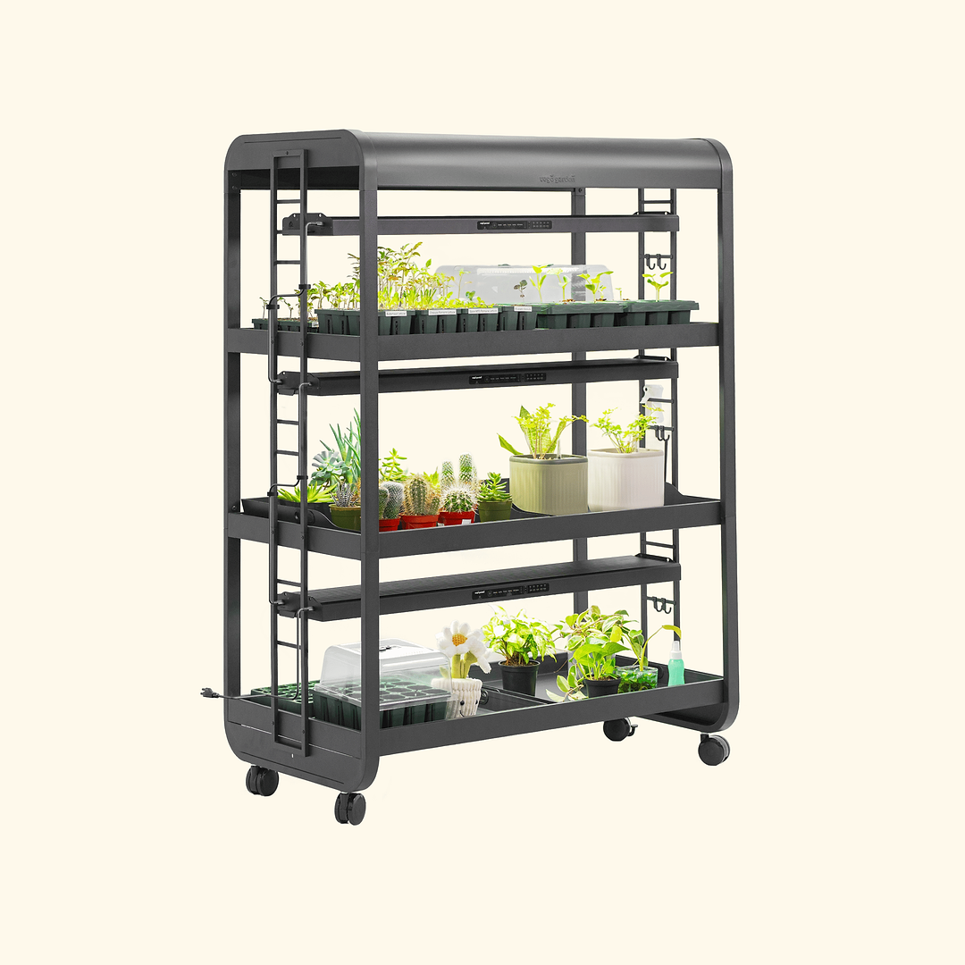 Ultimate Grow Light Garden Kit for Indoor Plants | Vego Garden