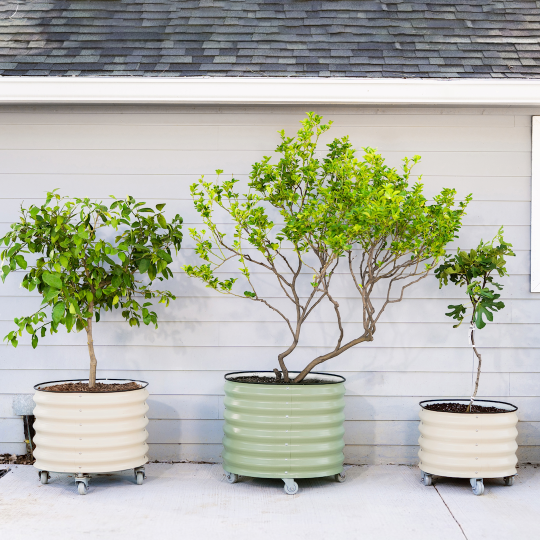 Vego Classic Rolling Tree Planter | Mobile Elevated Garden Bed