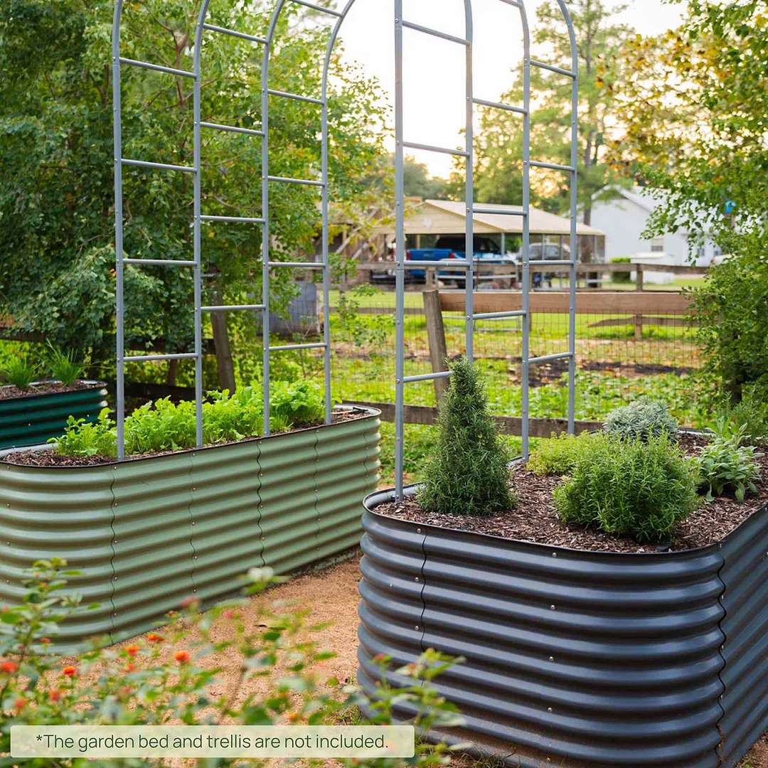 Vego Trellis Anchors: Stability for Garden Trellis