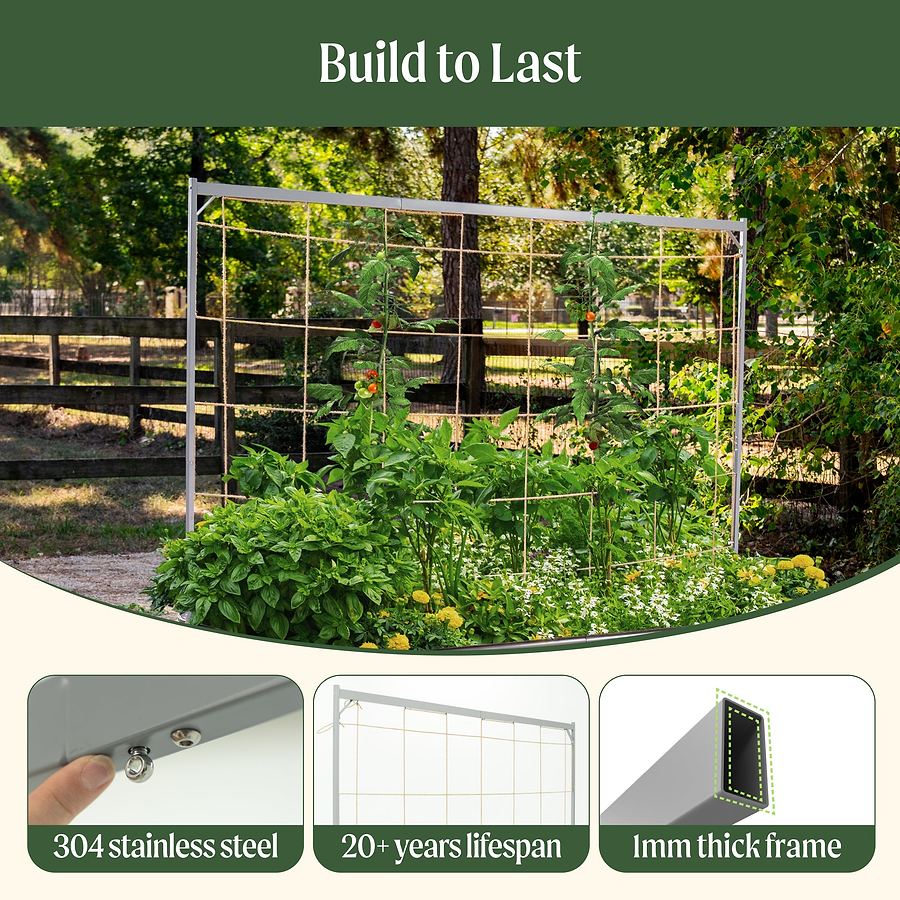 Metal Frame String Trellis