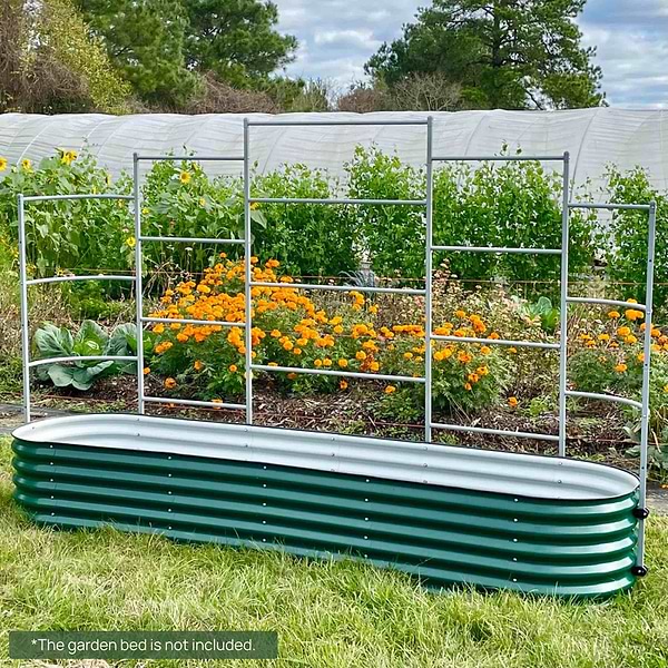 Modular Trellis Systems for Vertical Gardening | Vego Garden