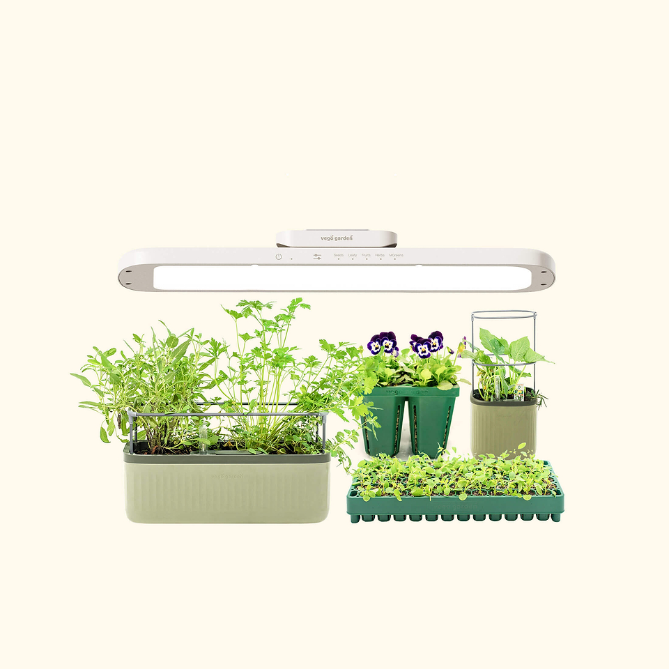 How to Grow Fresh Herbs Indoors All Winter Long with Grow Lights