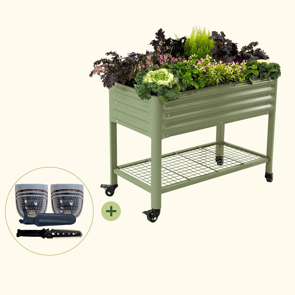 Bundle Sale | Vego Garden