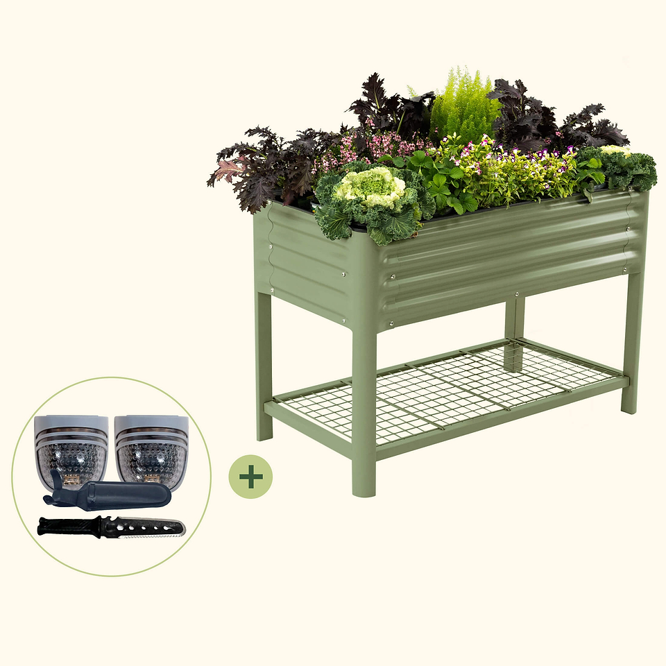Bundle Sale | Vego Garden