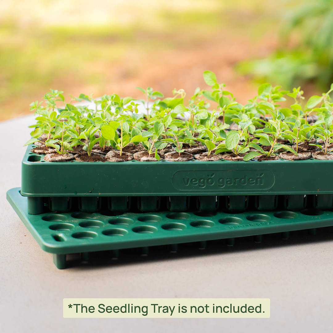 Vego Garden 3-In-1 Plant 'n' Pop Board - 10"x20"