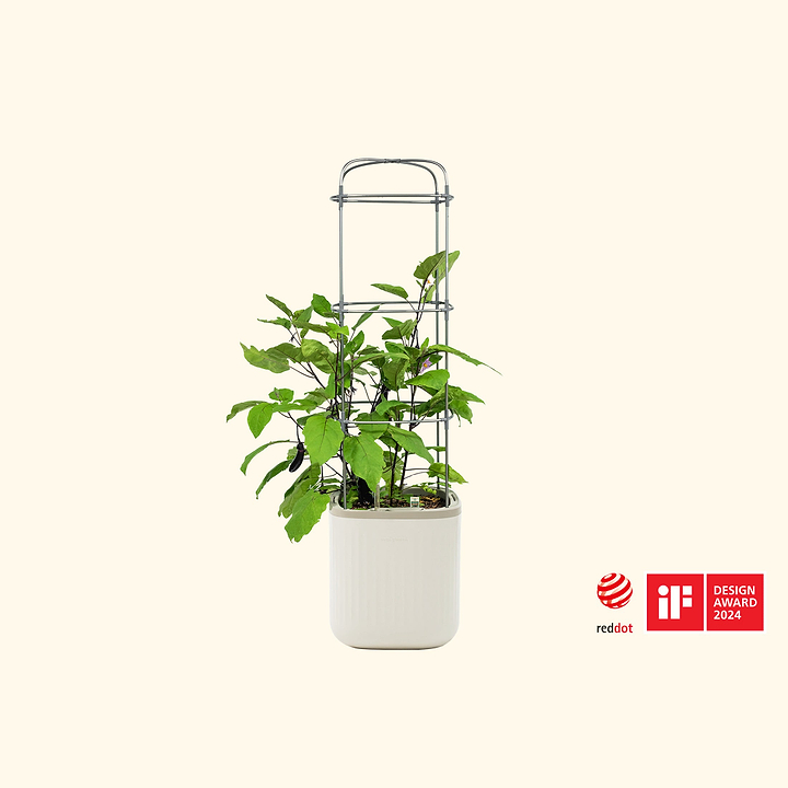 Self-Watering Rolling Tomato Planter with Trellis–Vego Garden