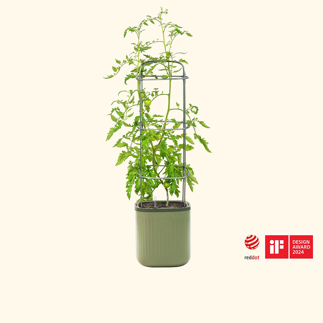 Self-Watering Rolling Tomato Planter with Trellis–Vego Garden