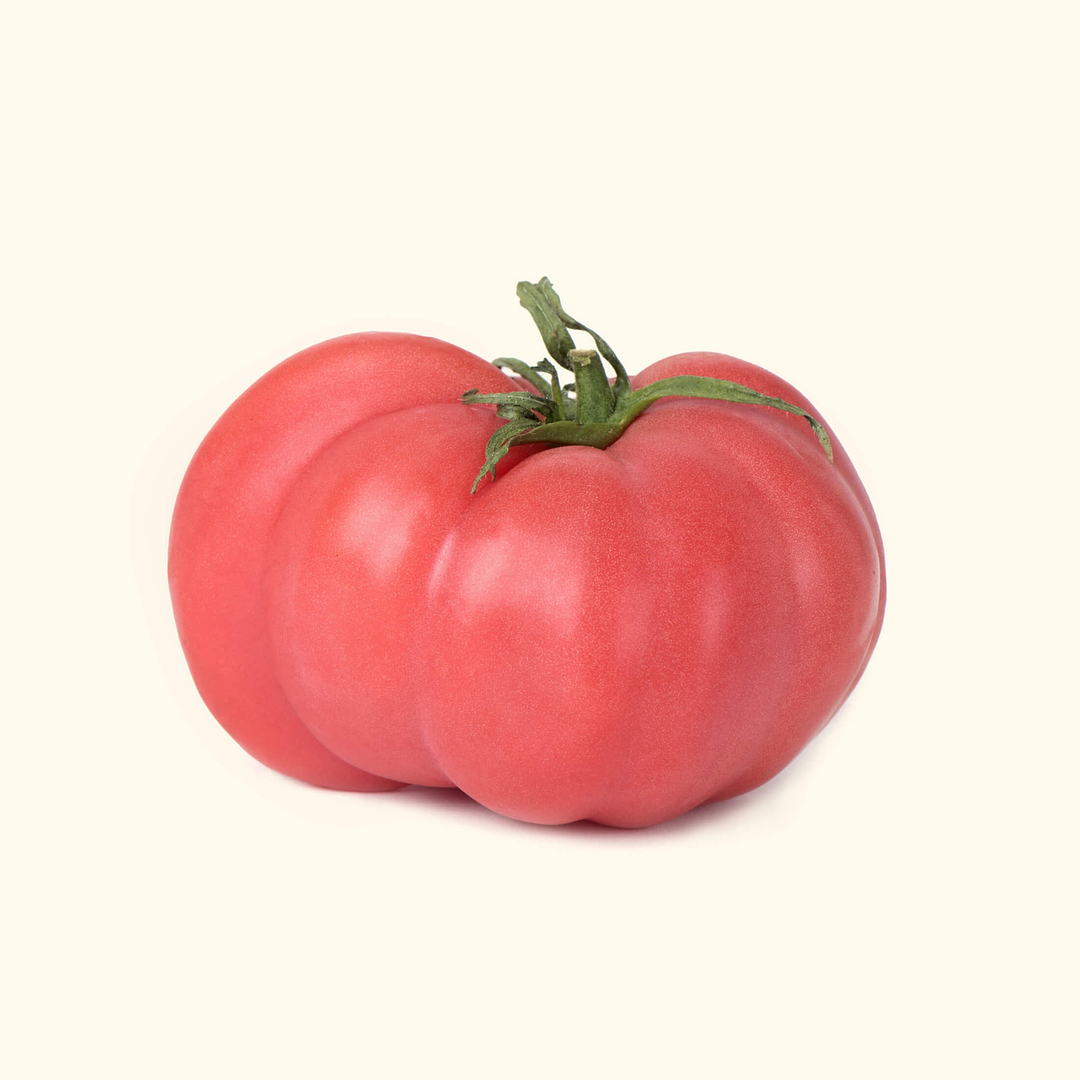 Brandywine Pink Tomato Seedlings | Vego Garden Seedlings