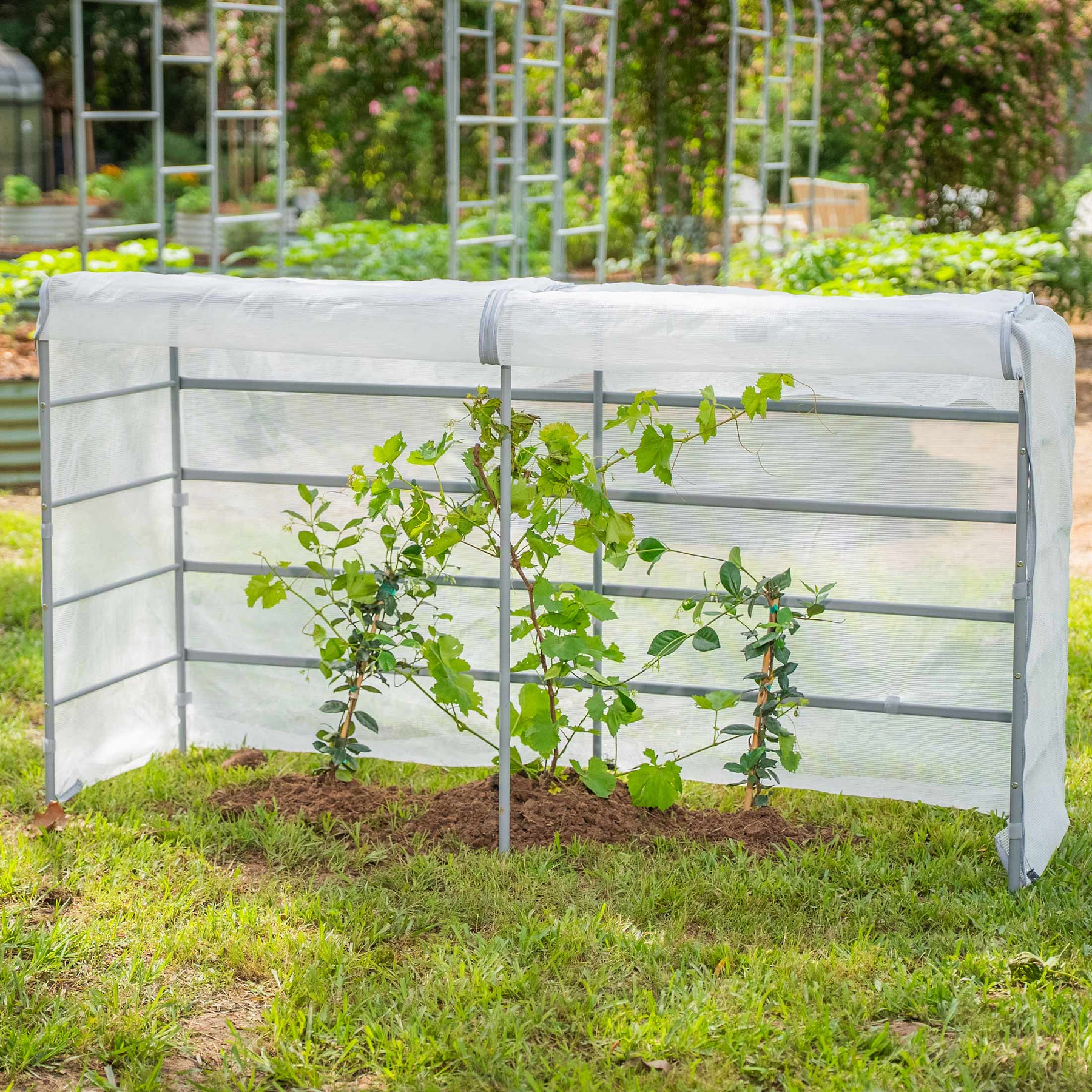 Mesh Cover System for Elevated Bed