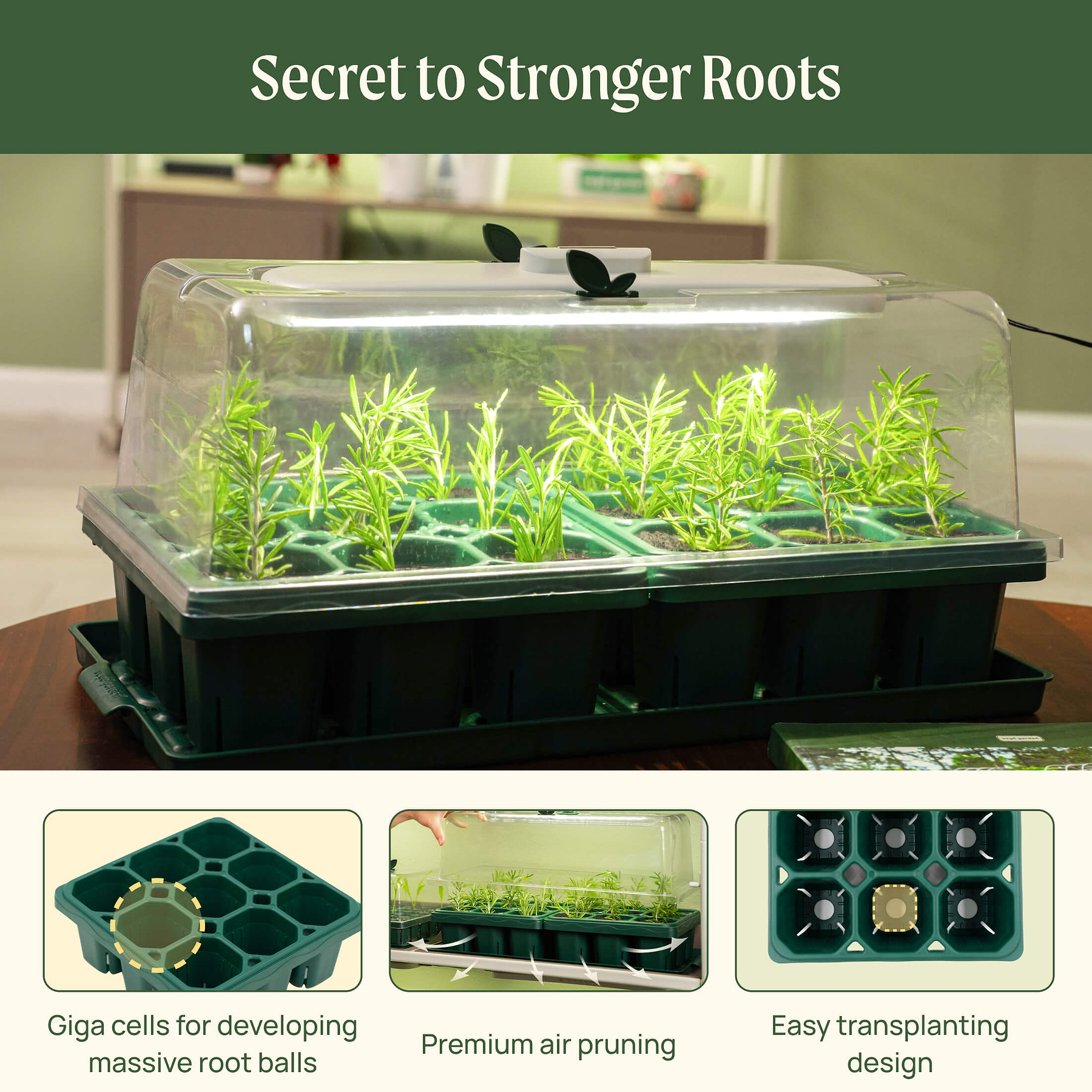 Giga 1020 Seedling Trays | Extra-Large Cells for Tomatoes & Peppers