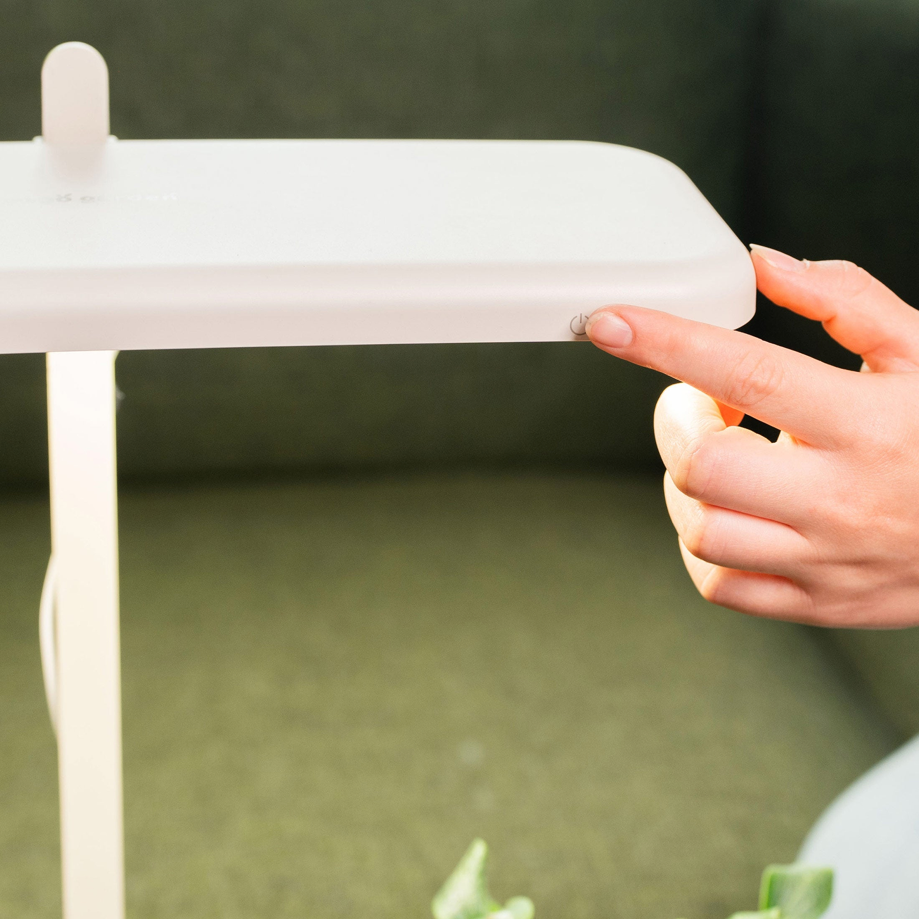 Grow Light Stand for Seed Starting | Vego Garden