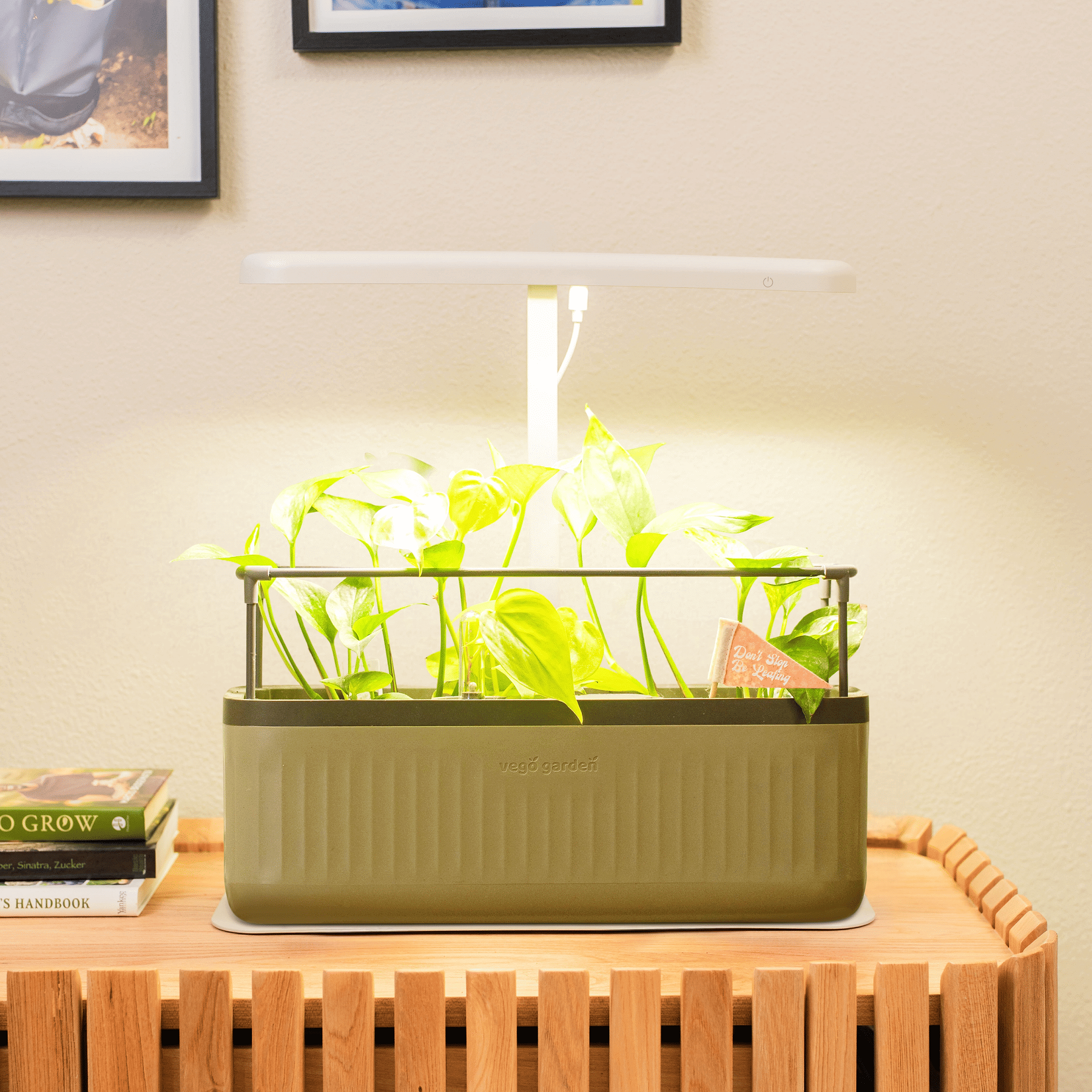 Grow Light Stand for Seed Starting | Vego Garden