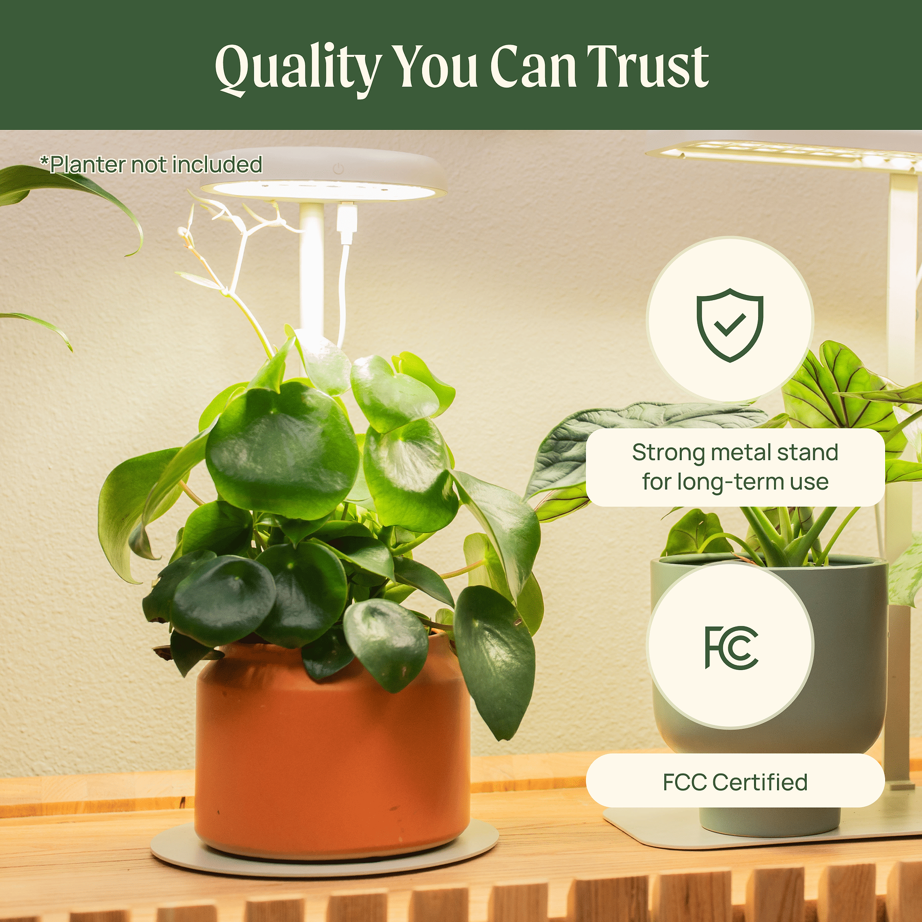 Mini Grow Light Stand for Seedlings & Herbs | Vego Garden