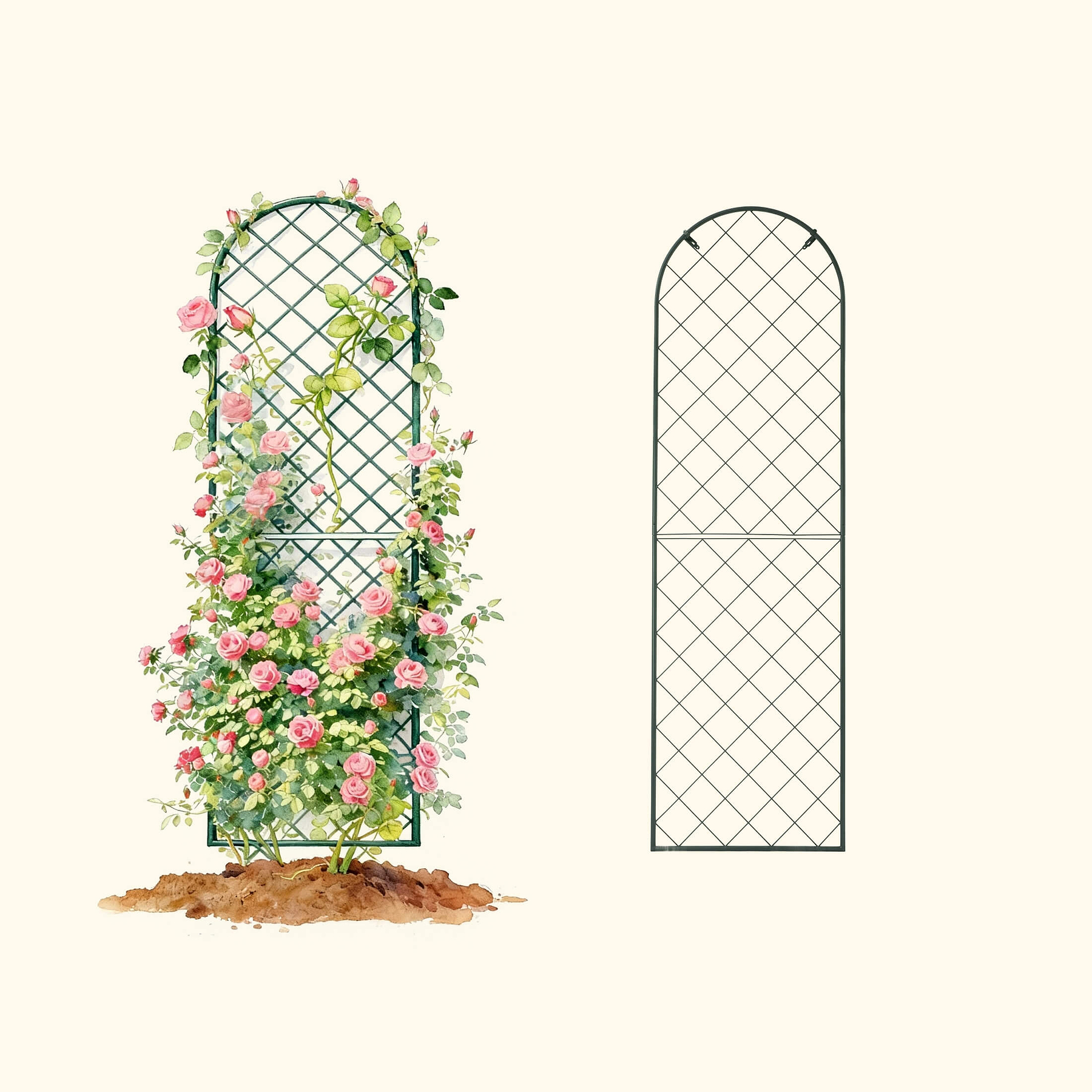 Mounted Wall Trellis | Vertical Garden for Fences & Walls - Vegogarden