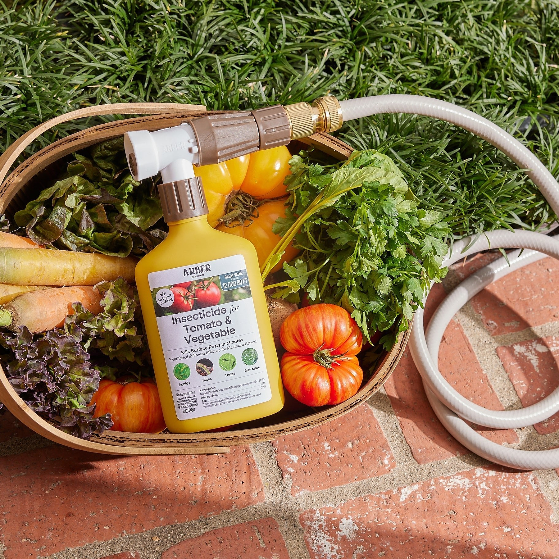 Organic Insecticide for Tomato & Vegetable