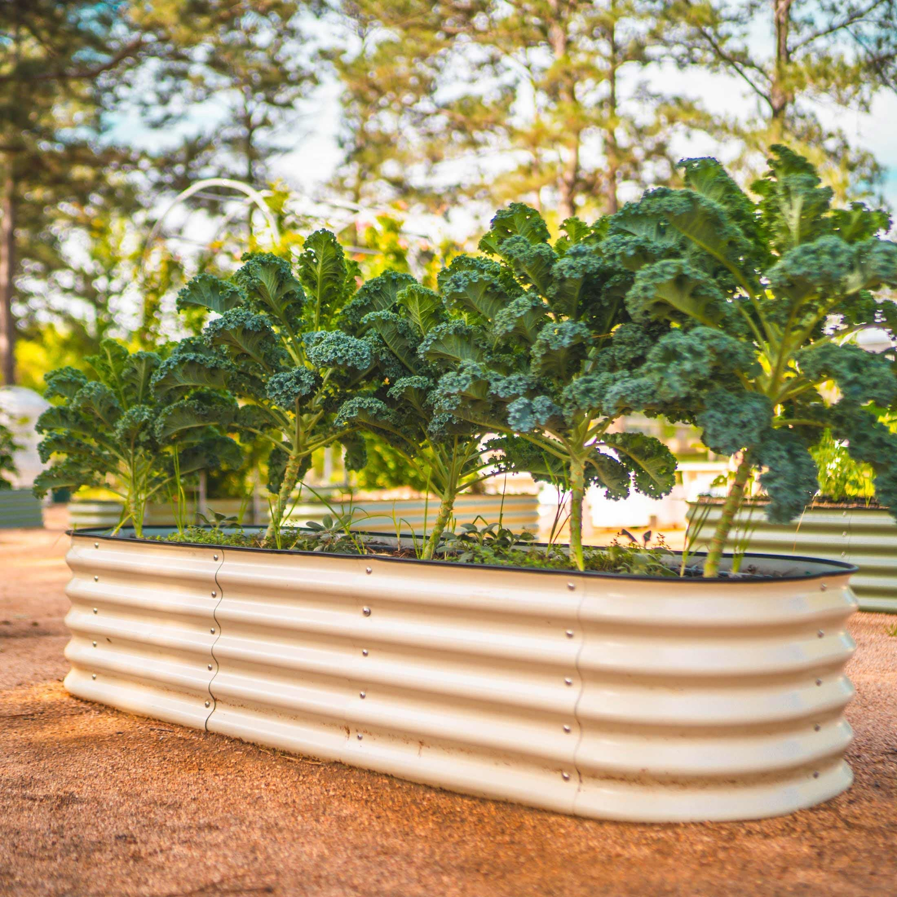 17" Tall 6 in 1 Modular Metal Raised Garden Bed Kit | Vego Garden