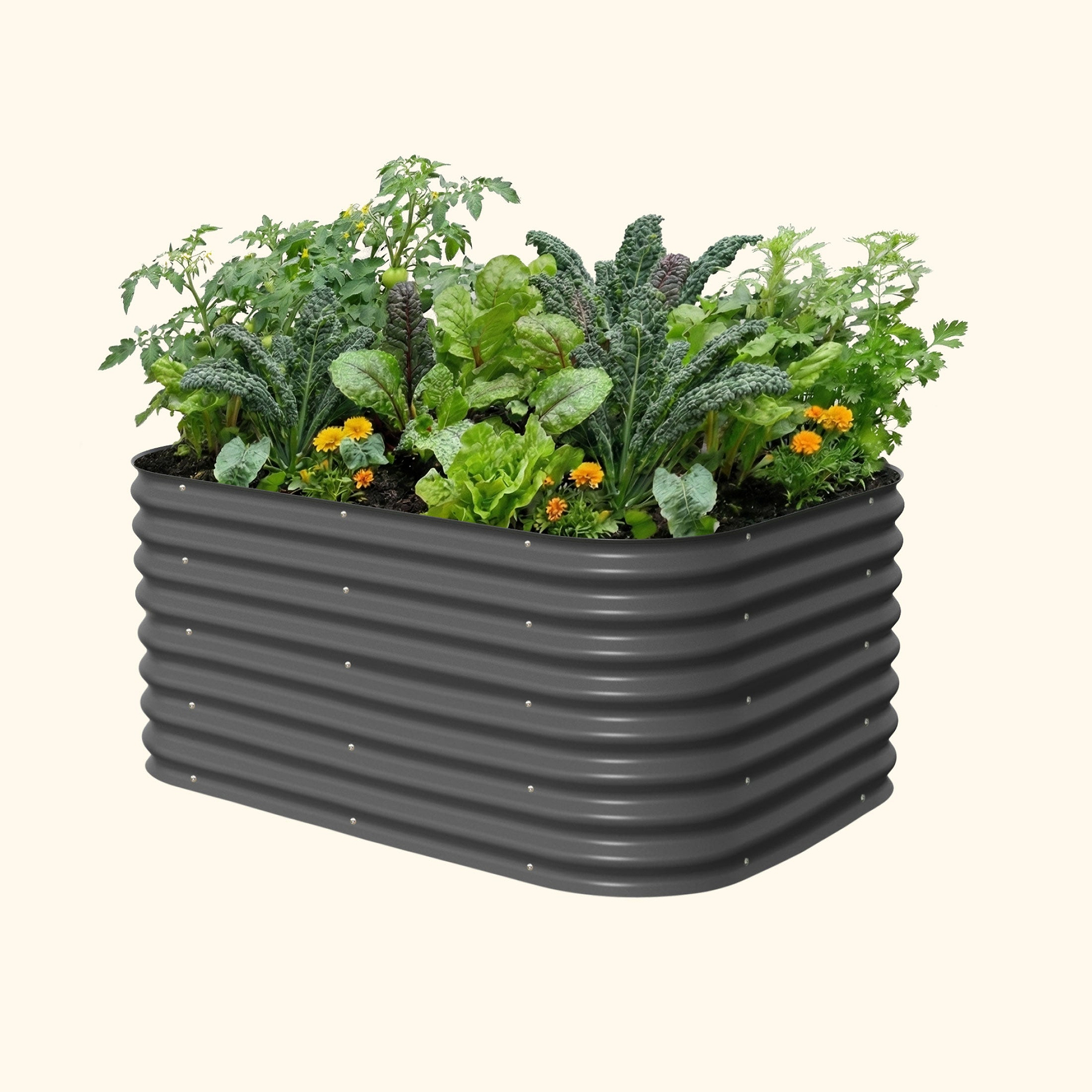 26" Tall 6 in 1 Modular Metal Raised Garden Bed Kit | Vego Garden