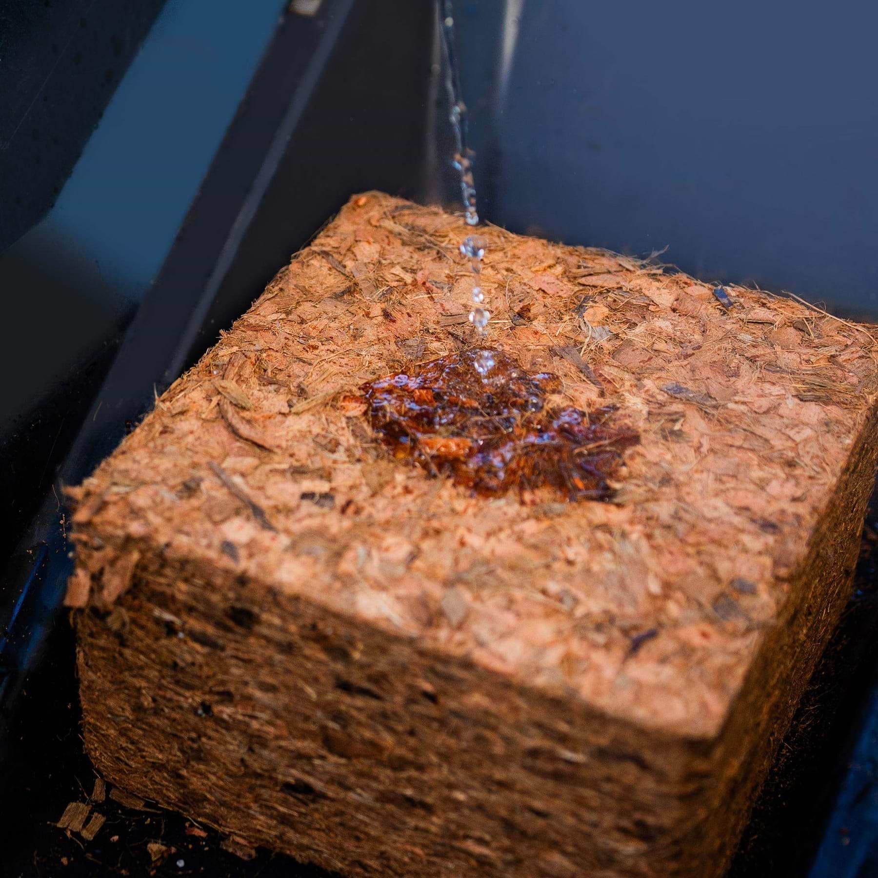 Vego Garden Coco Mulch 1.4 lb Brick