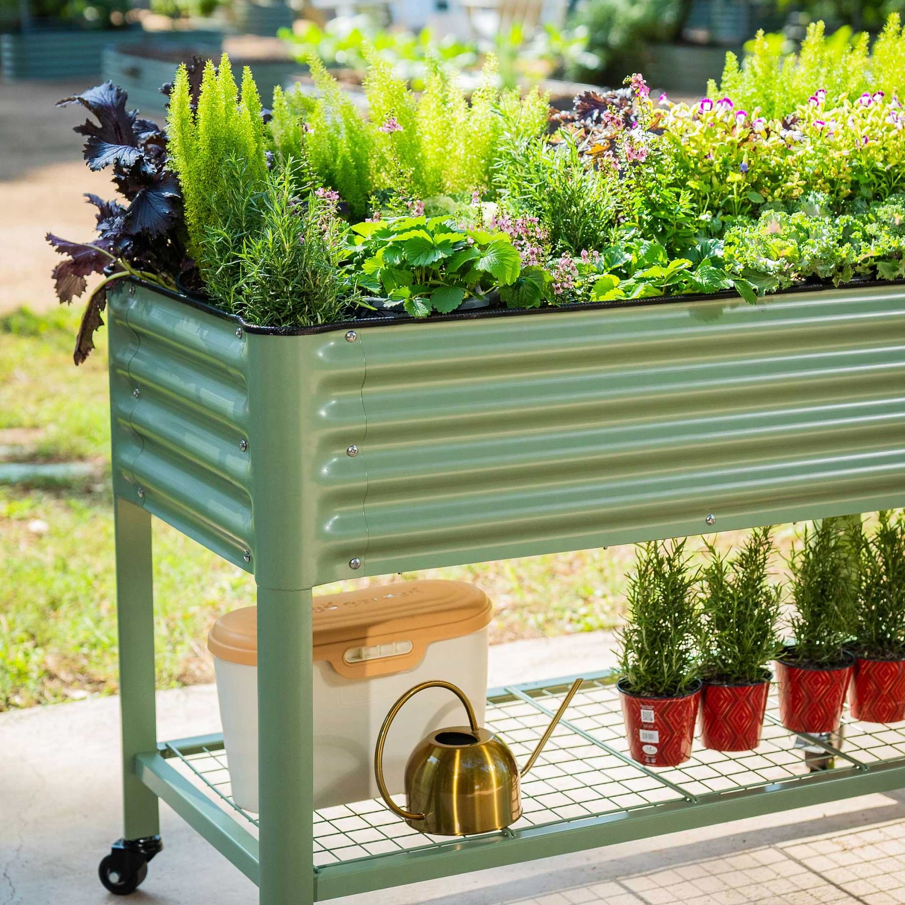Elevated Garden Bed 2' x 4' | Vegogarden