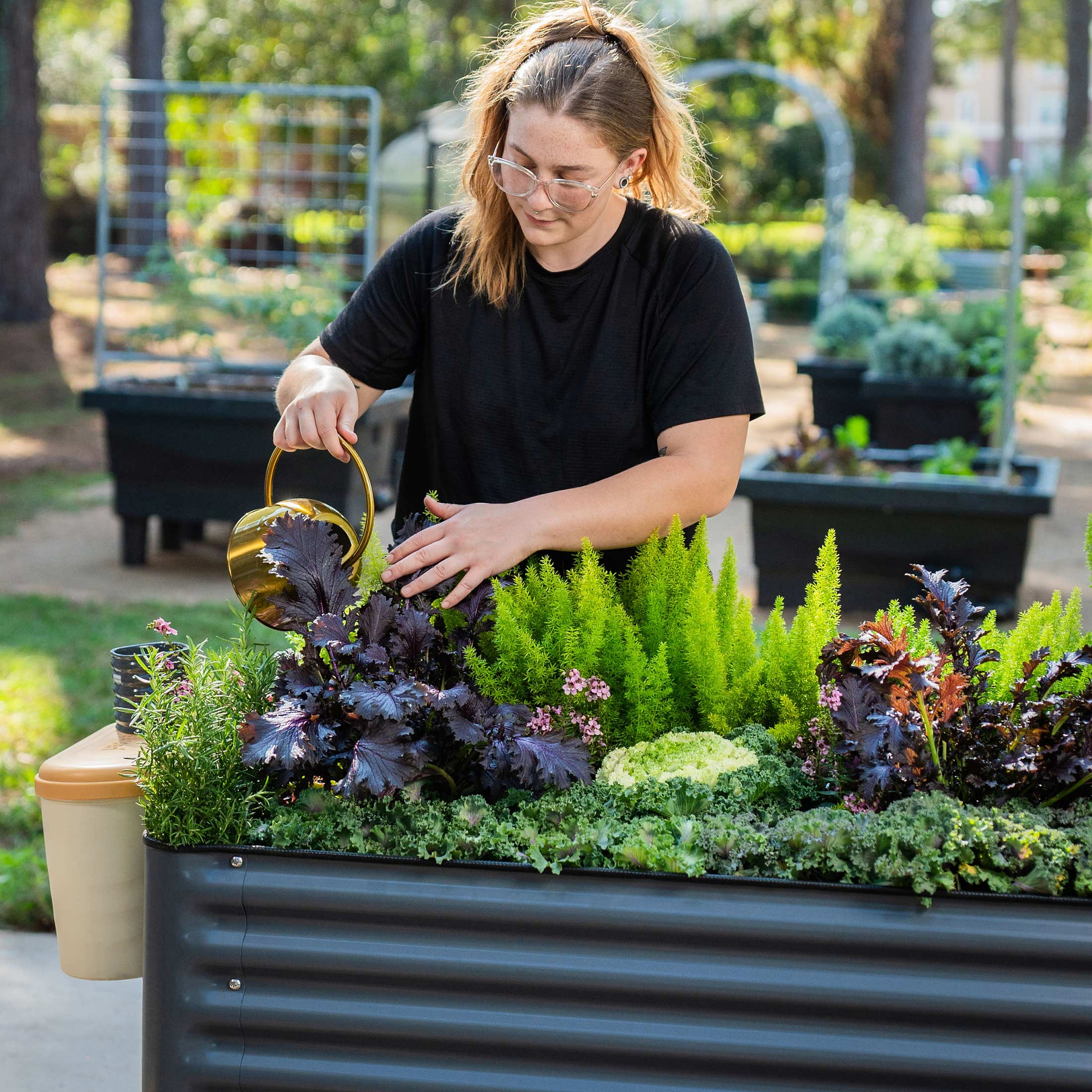 Elevated Garden Bed - V Series 2' x 8'