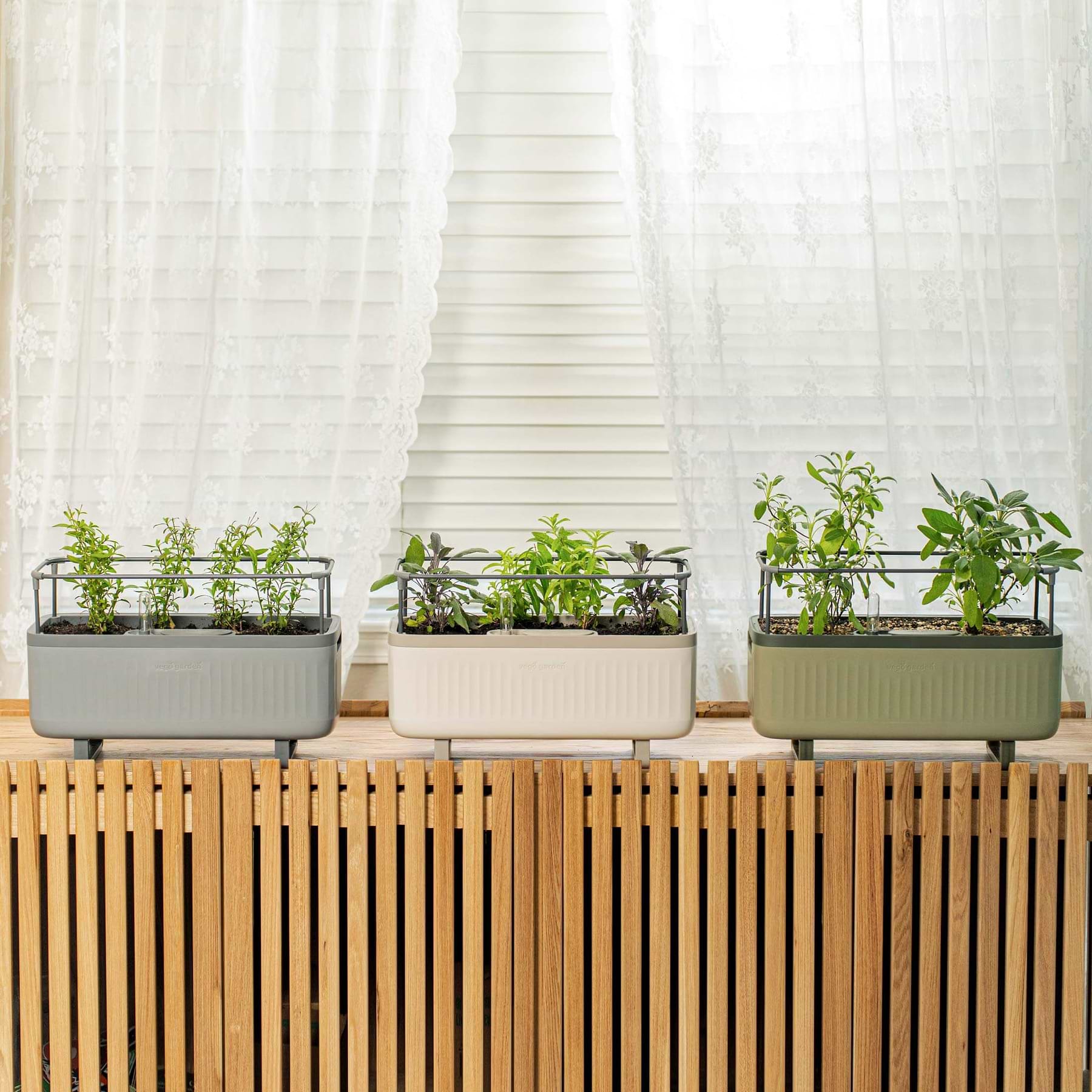 Self-Watering Herb Planter Box with Trellis ｜ Vego Garden