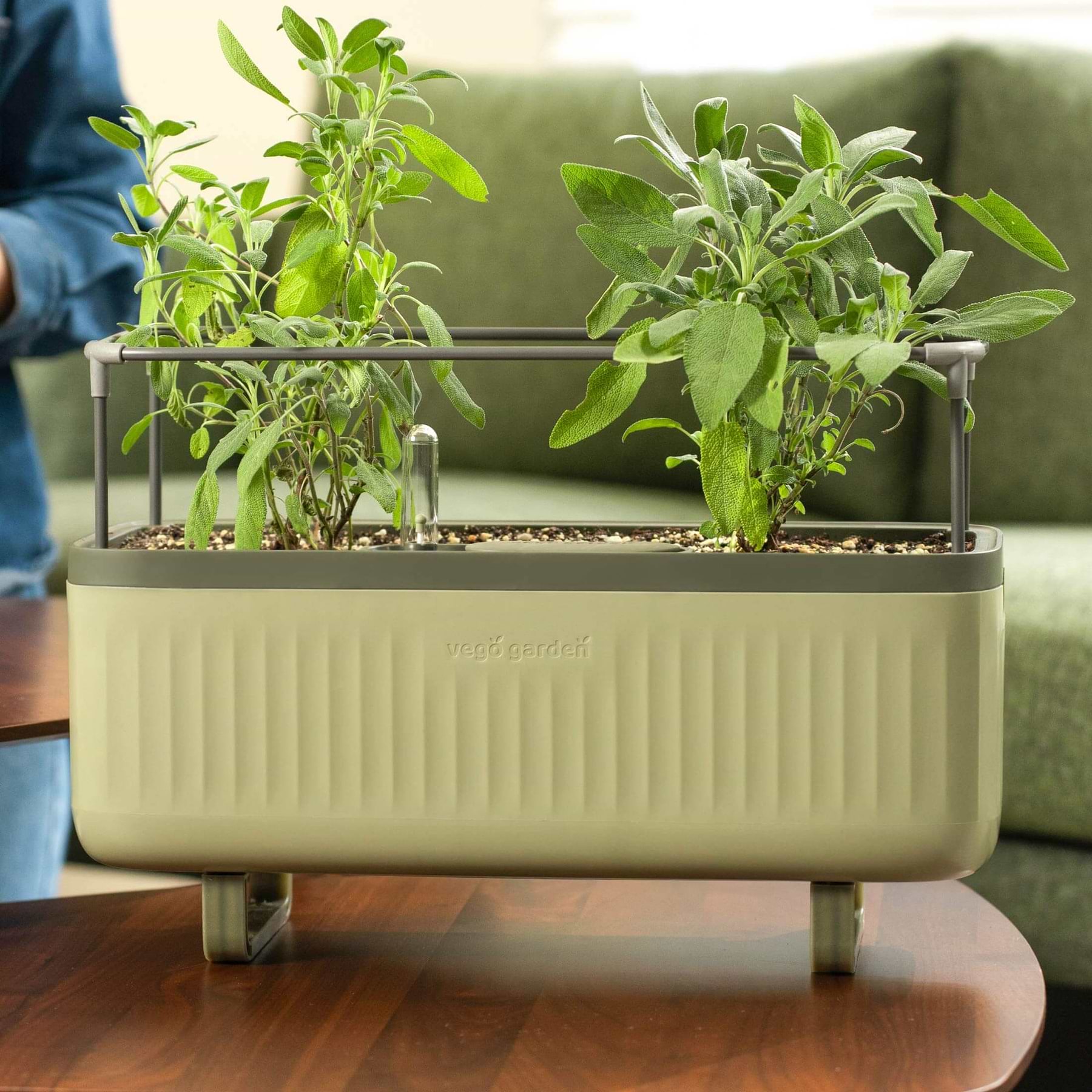Self-Watering Herb Planter Box with Trellis ｜ Vego Garden