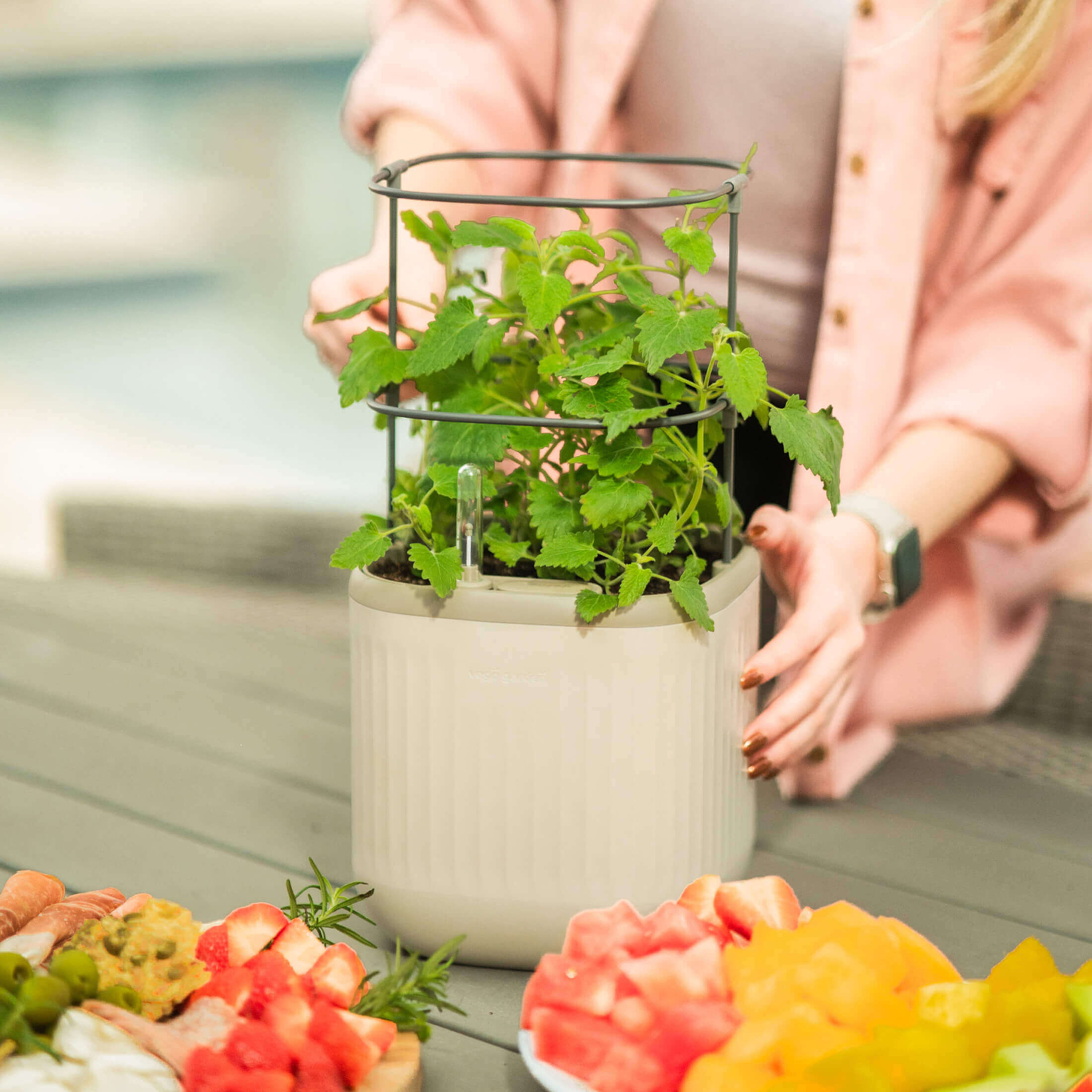 Self-Watering Mini Planter Pot with Trellis ｜ Vego Garden