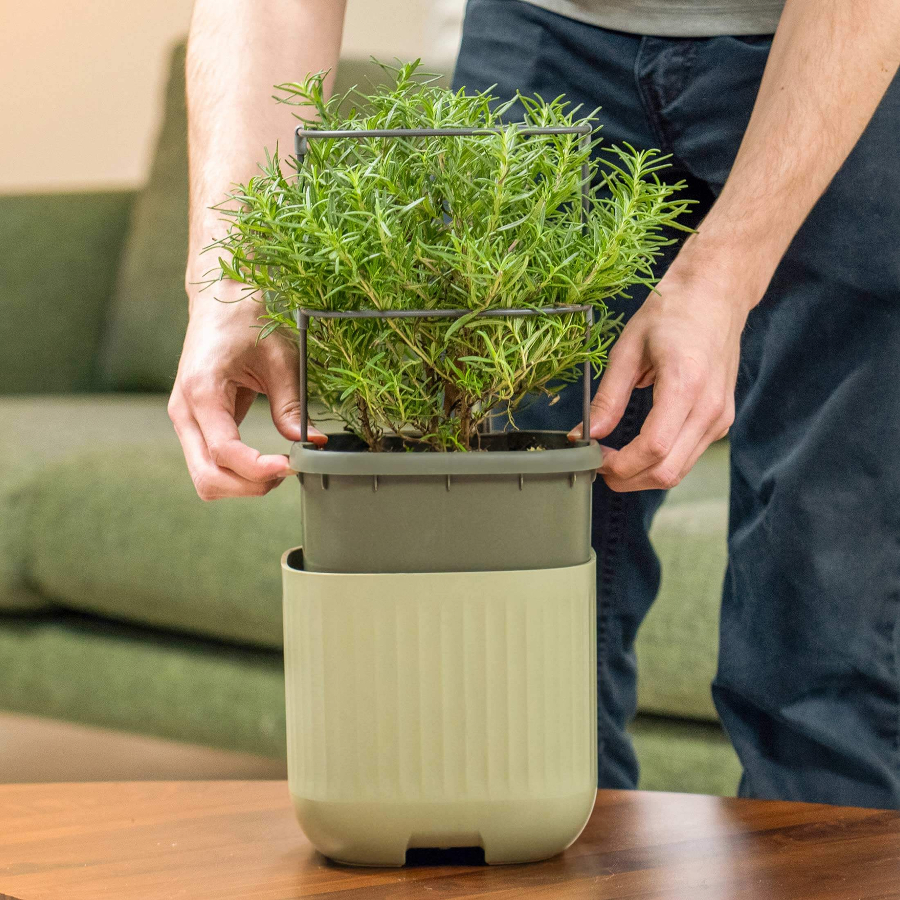 Self-Watering Mini Planter Pot with Trellis ｜ Vego Garden