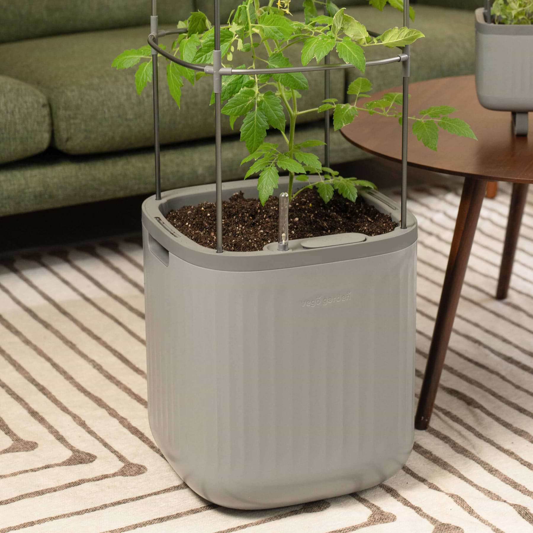Self-Watering Rolling Tomato Planter with Trellis–Vego Garden