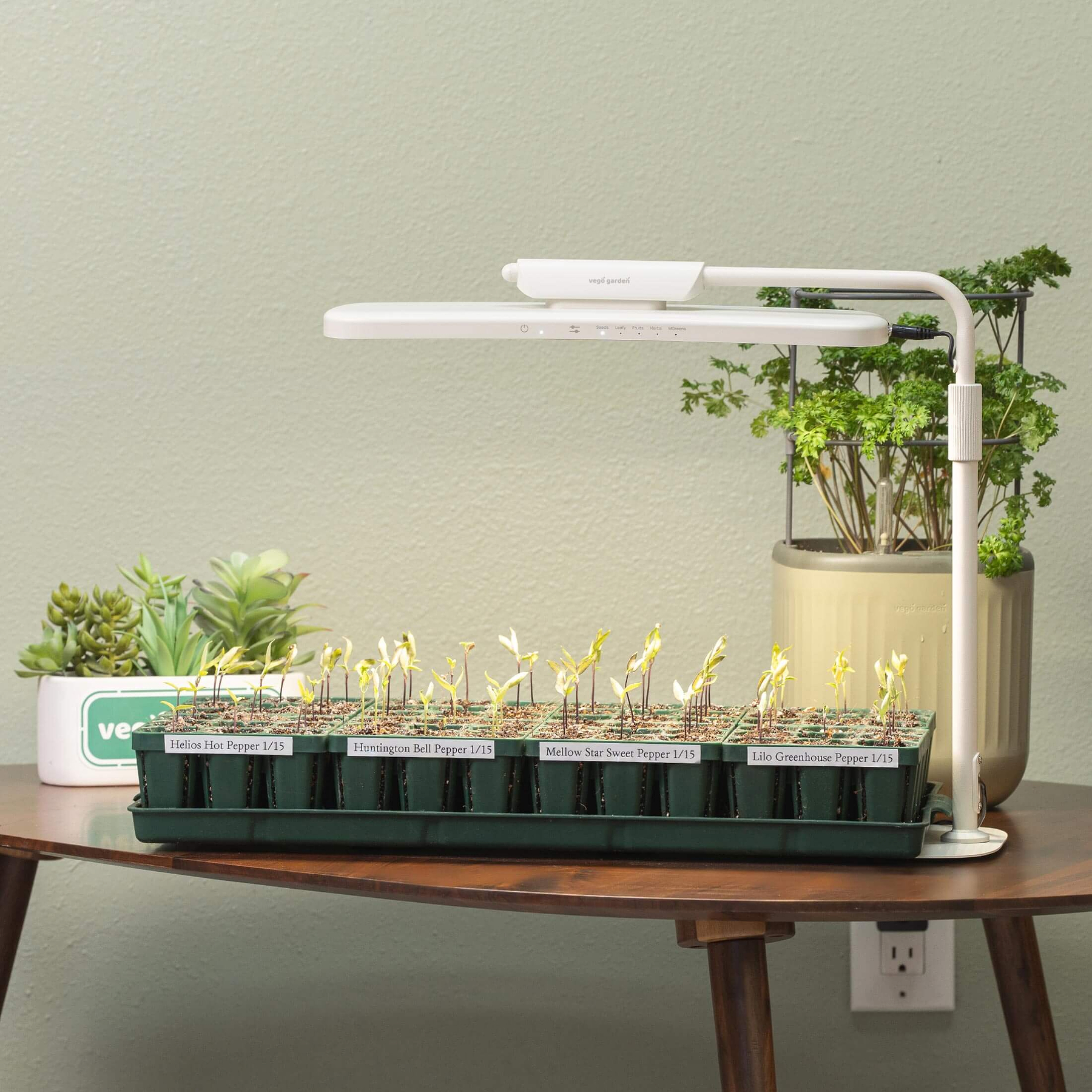 Grow Light Stand - Classic