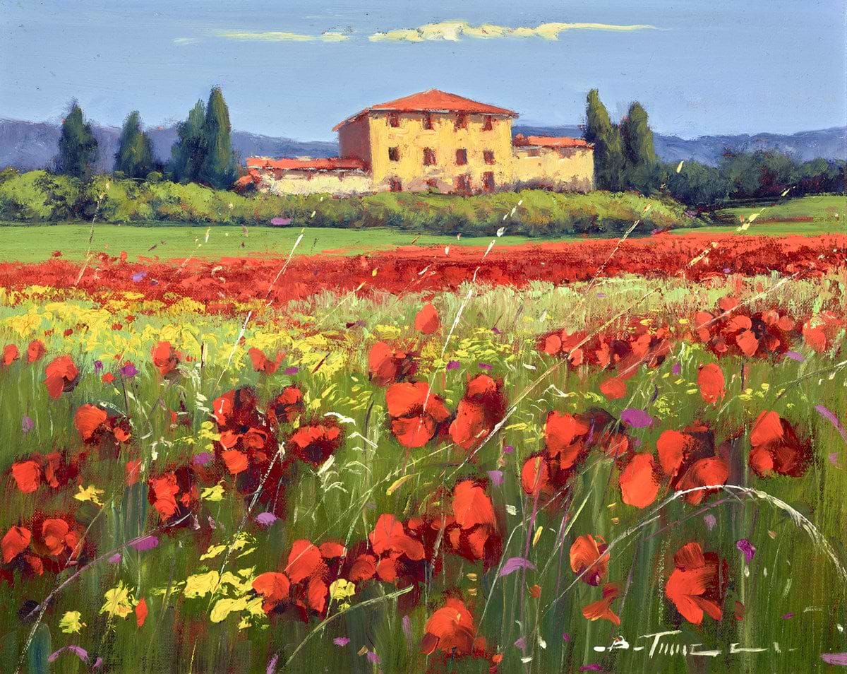 Mare Di Fiori Di Campo | Bruno Tinucci – Clarendon Fine Art